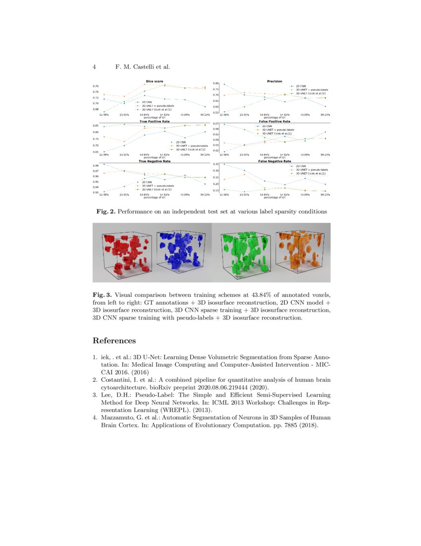 Semantic Segmentation of Neuronal Bodies in Fluorescence Microscopy Using a 2D+3D CNN Training ...