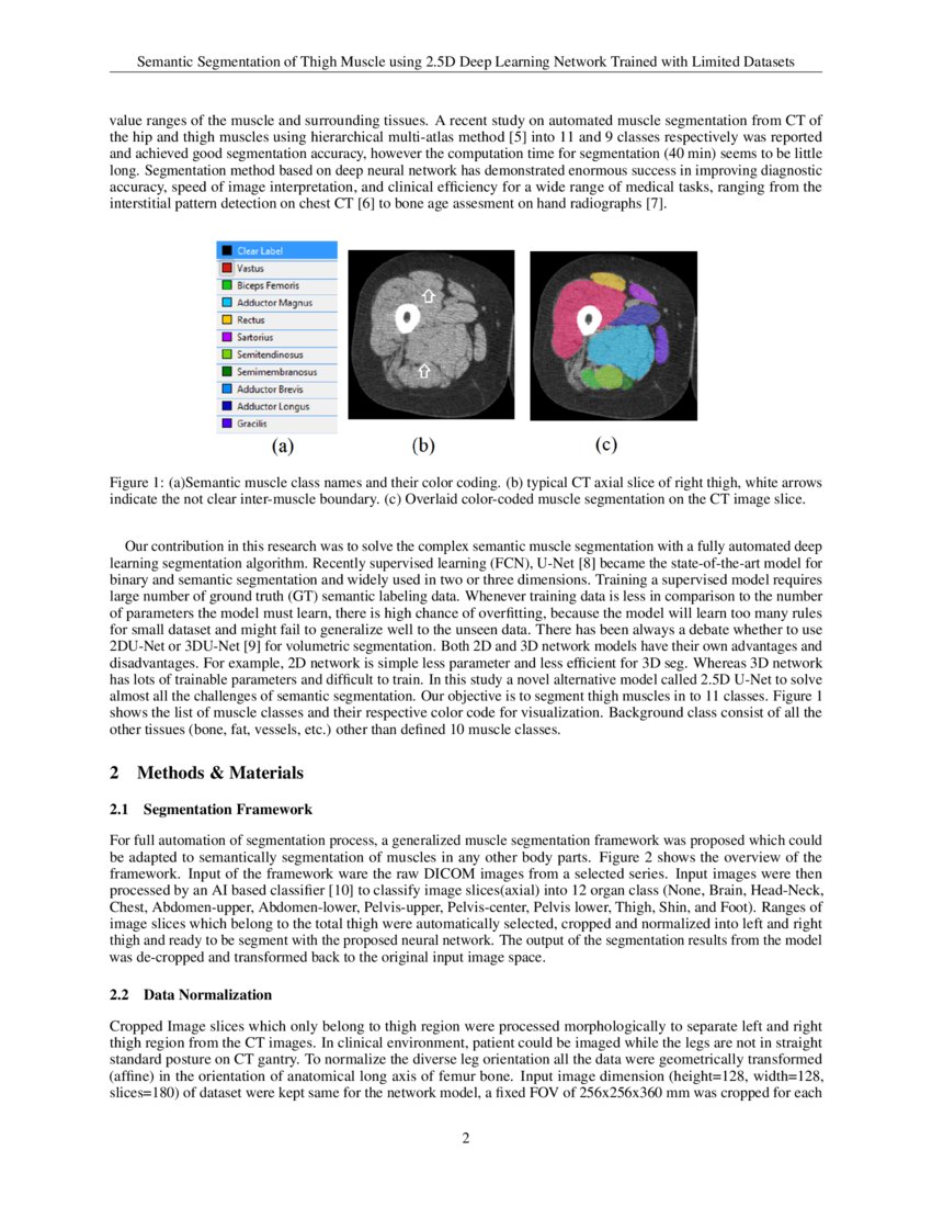 Semantic Segmentation Of Thigh Muscle Using 2 5d Deep Learning Network Trained With Limited
