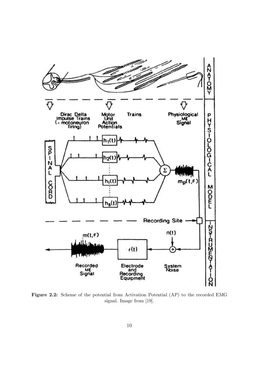 Semg Based Hand Gesture Recognition With Deep Learning Deepai