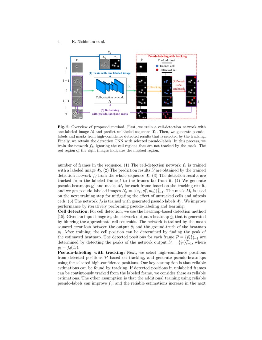Semi-supervised Cell Detection in Time-lapse Images Using Temporal ...