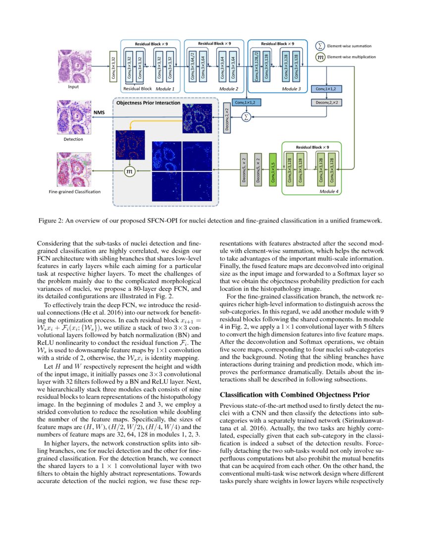 SFCN-OPI: Detection and Fine-grained Classification of Nuclei Using Sibling FCN with Objectness ...
