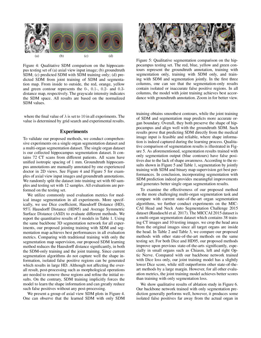 Shape-Aware Organ Segmentation by Predicting Signed Distance Maps | DeepAI
