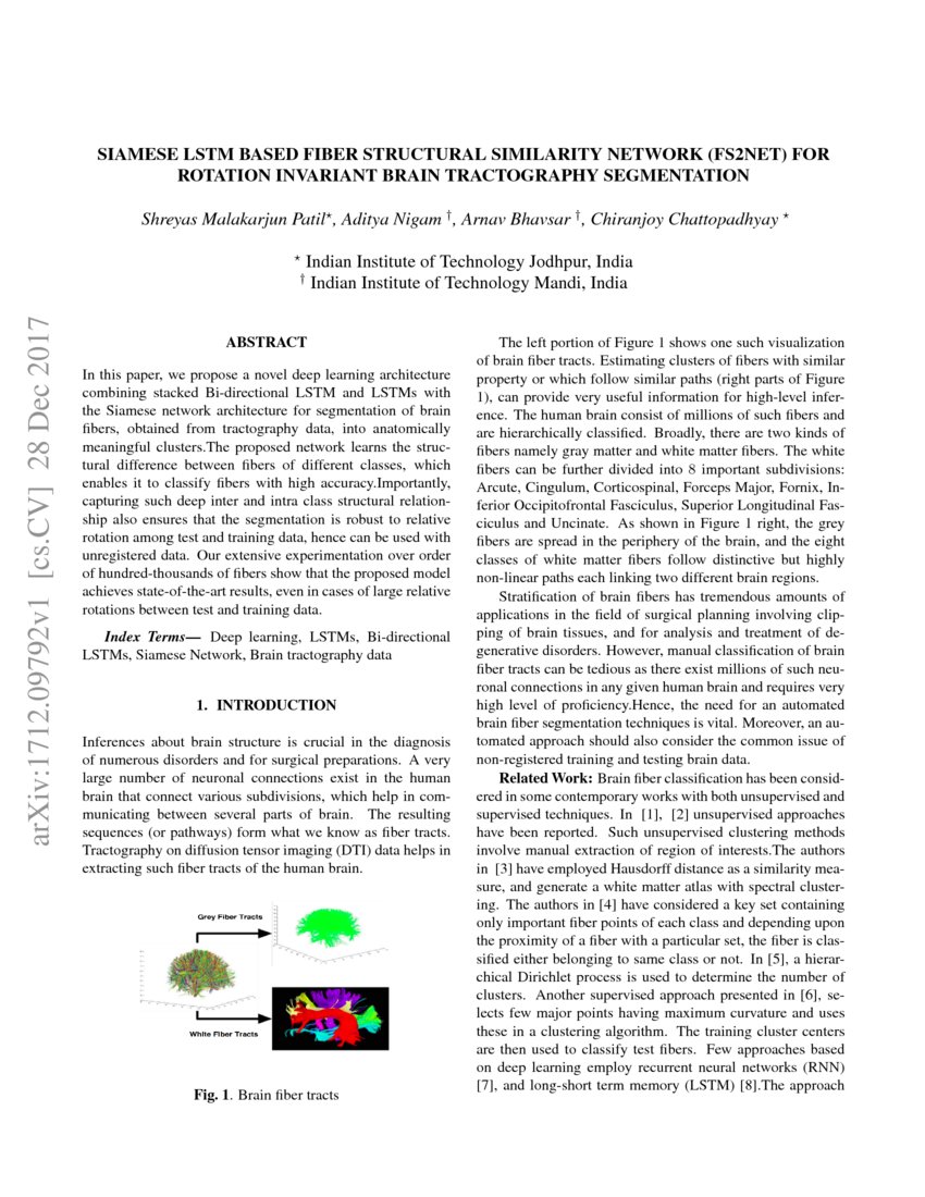 Siamese LSTM based Fiber Structural Similarity Network (FS2Net) for Rotation Invariant Brain ...