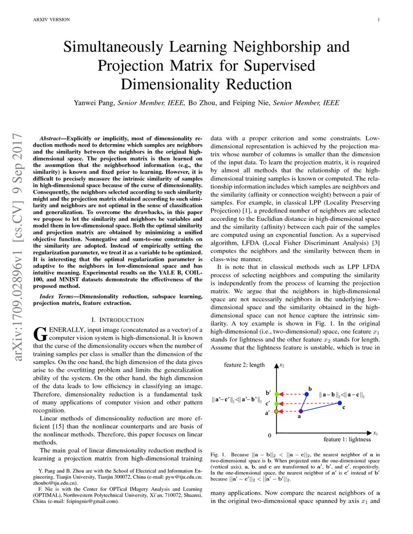 Simultaneously Learning Neighborship and Projection Matrix for Supervised Dimensionality ...