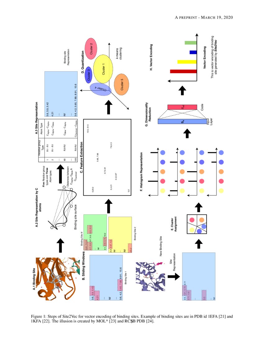 Site2vec A Reference Frame Invariant Algorithm For Vector Embedding Of