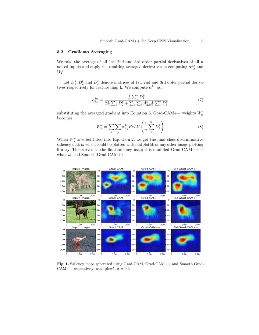 Smooth Grad-CAM++: An Enhanced Inference Level Visualization Technique for Deep Convolutional ...