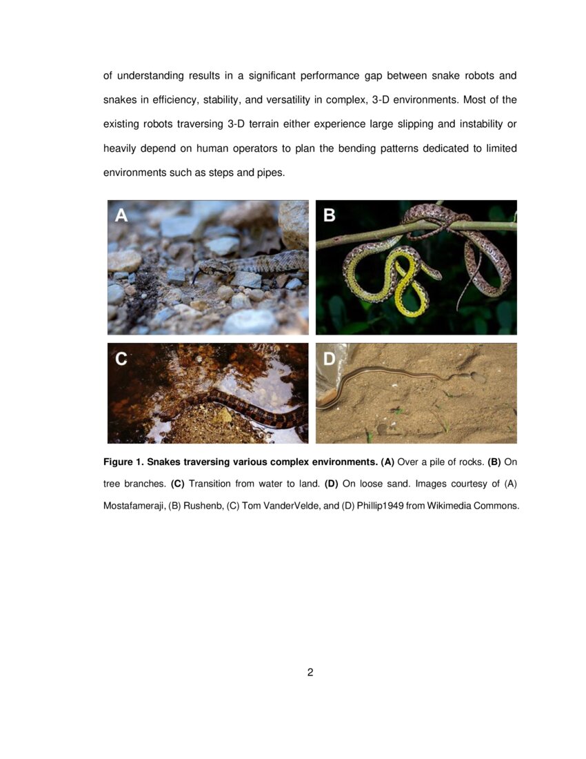 Snake and Snake Robot Locomotion in Complex, 3-D Terrain | DeepAI
