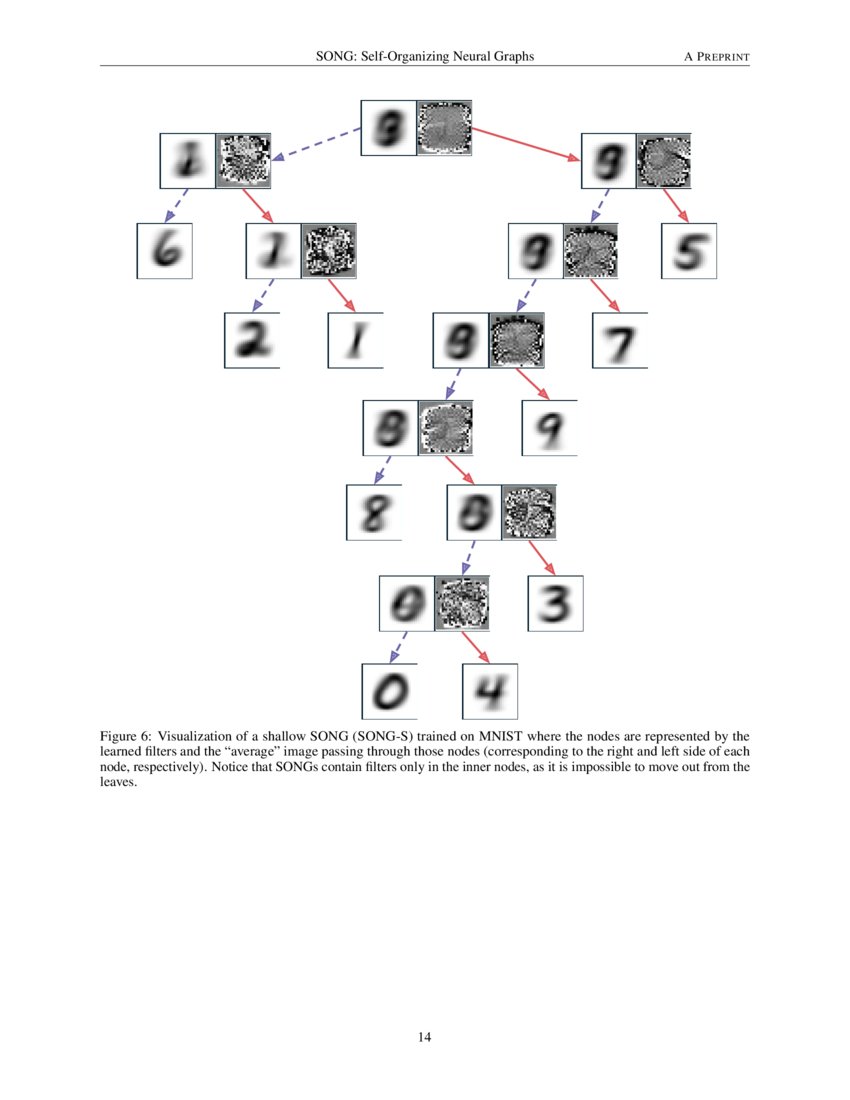 SONG: Self-Organizing Neural Graphs | DeepAI