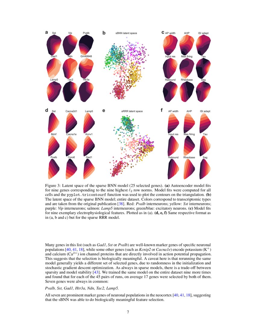 Sparse Bottleneck Networks for Exploratory Analysis and Visualization ... Sparse Bottleneck Networks for Exploratory Analysis and Visualization ...