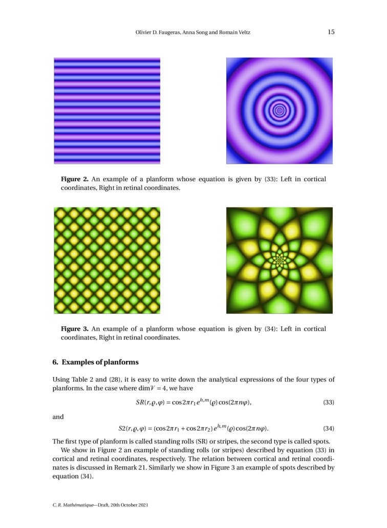 Spatial and color hallucinations in a mathematical model of primary visual cortex | DeepAI