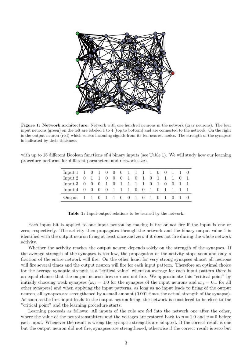 Spatial features of synaptic adaptation affecting learning performance ...