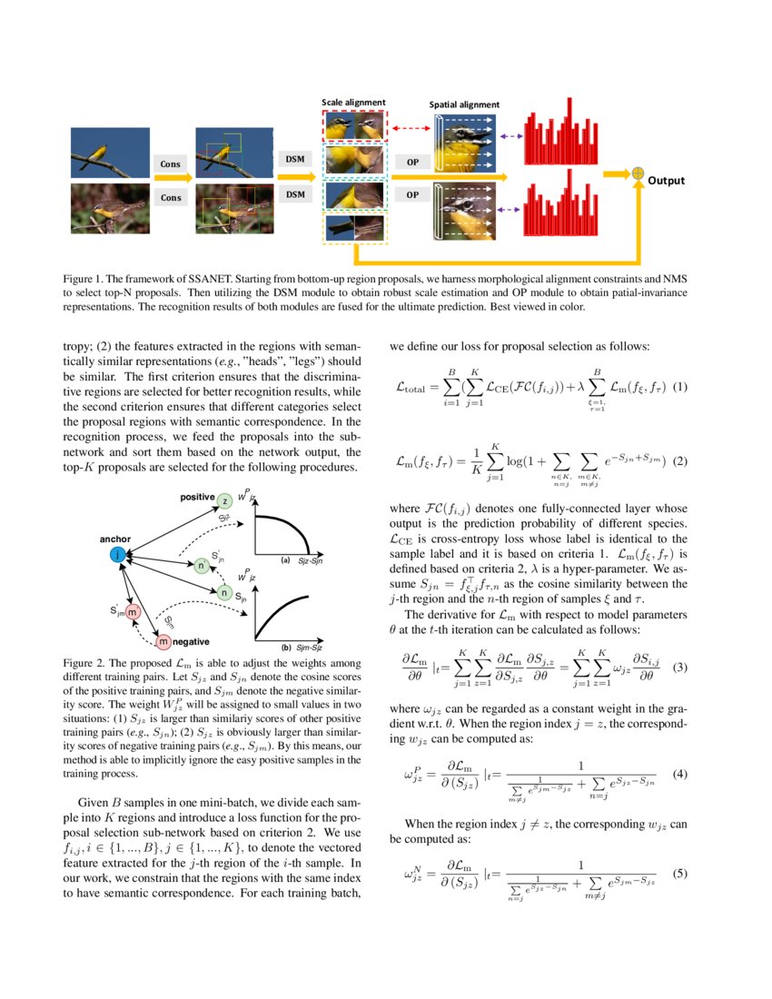 Spatial-Scale Aligned Network for Fine-Grained Recognition | DeepAI