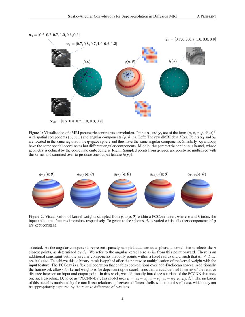 Spatio-Angular Convolutions for Super-resolution in Diffusion MRI | DeepAI
