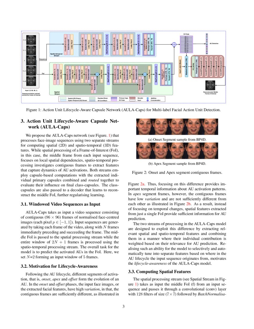 Spatio Temporal Analysis Of Facial Actions Using Lifecycle Aware