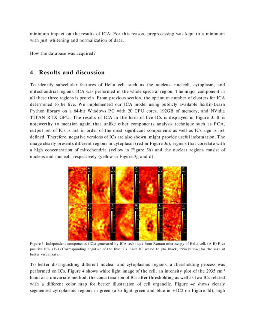 Spectral unmixing of Raman microscopic images of single human cells ...