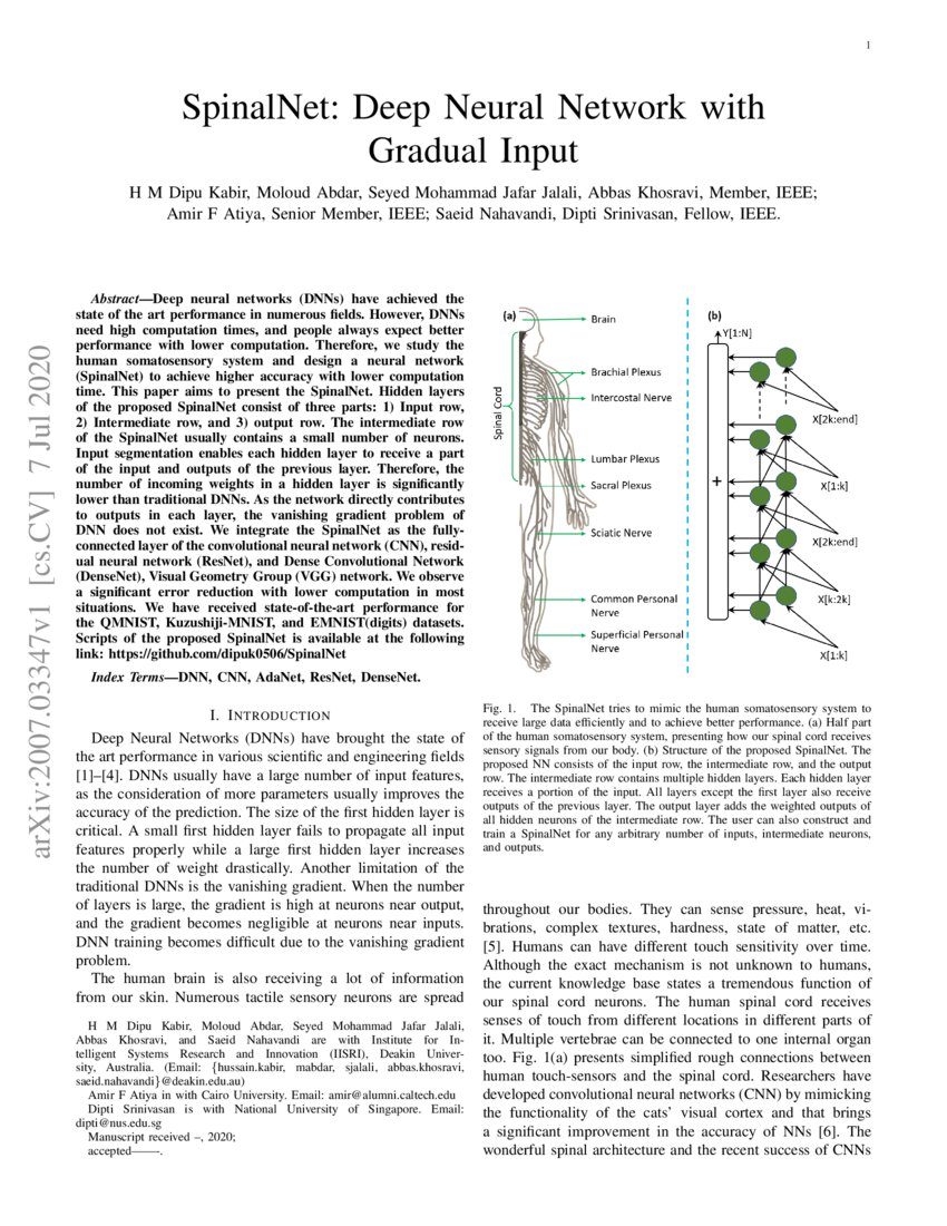 SpinalNet: Deep Neural Network with Gradual Input | DeepAI