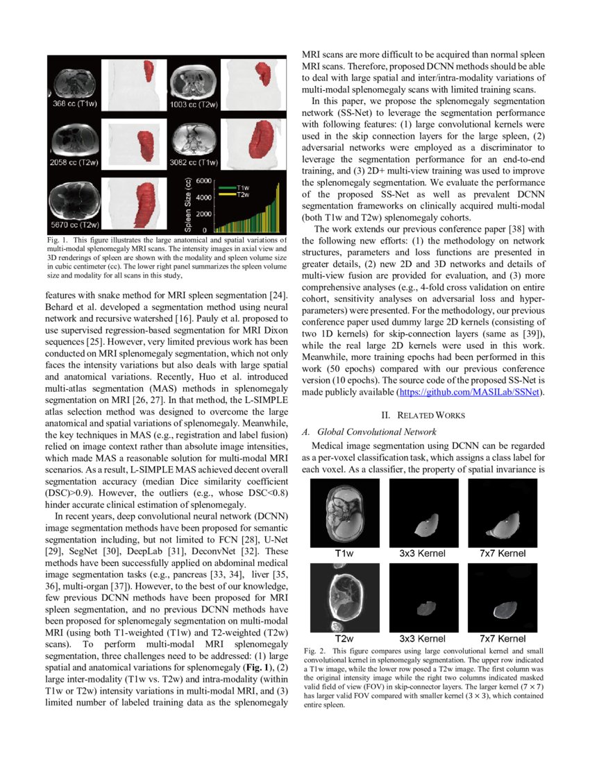 Splenomegaly Segmentation On Multi Modal Mri Using Deep Convolutional
