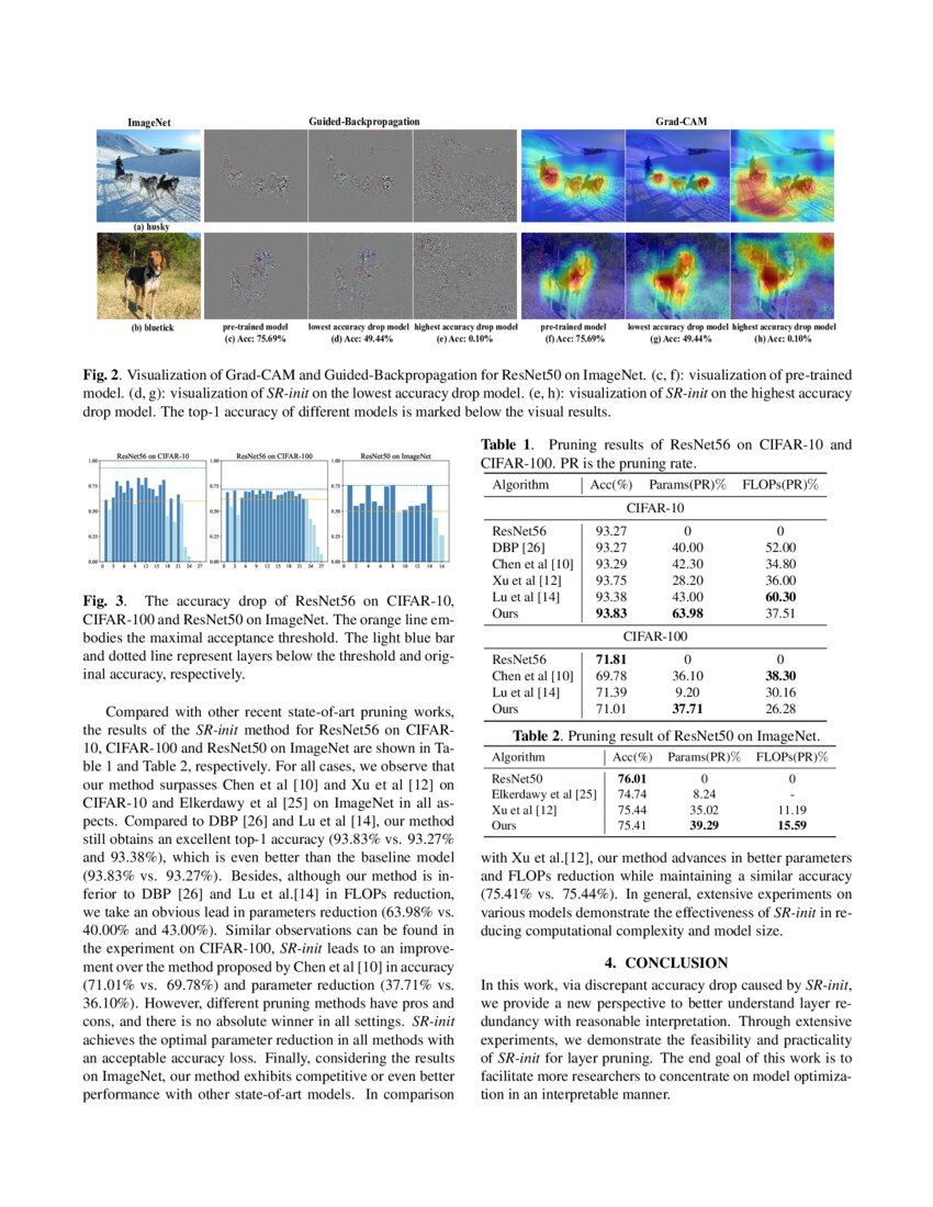 Sr-init: An interpretable layer pruning method | DeepAI
