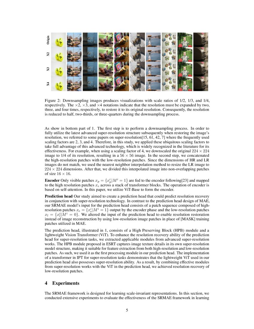 Srmae Masked Image Modeling For Scale Invariant Deep Representations Deepai