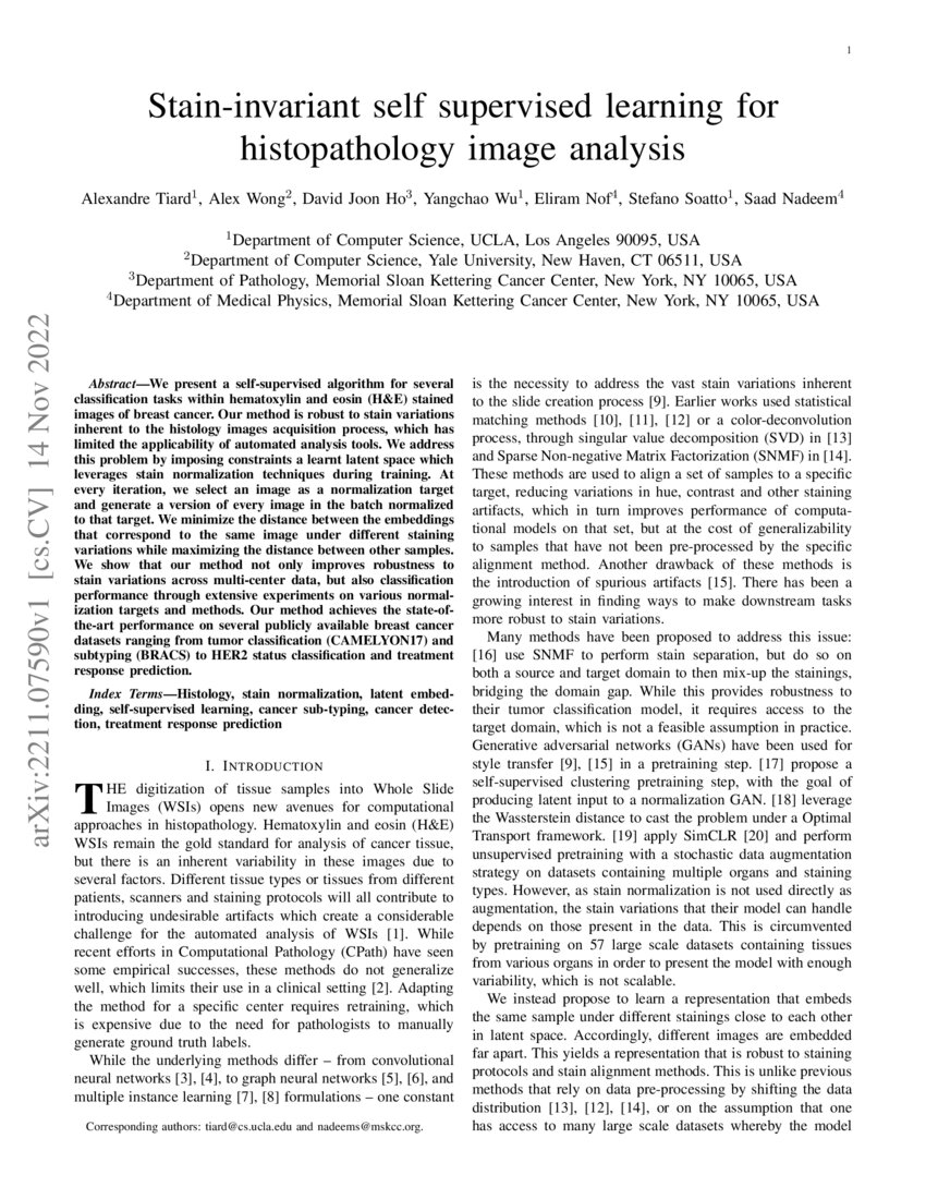 Stain Invariant Self Supervised Learning For Histopathology Image