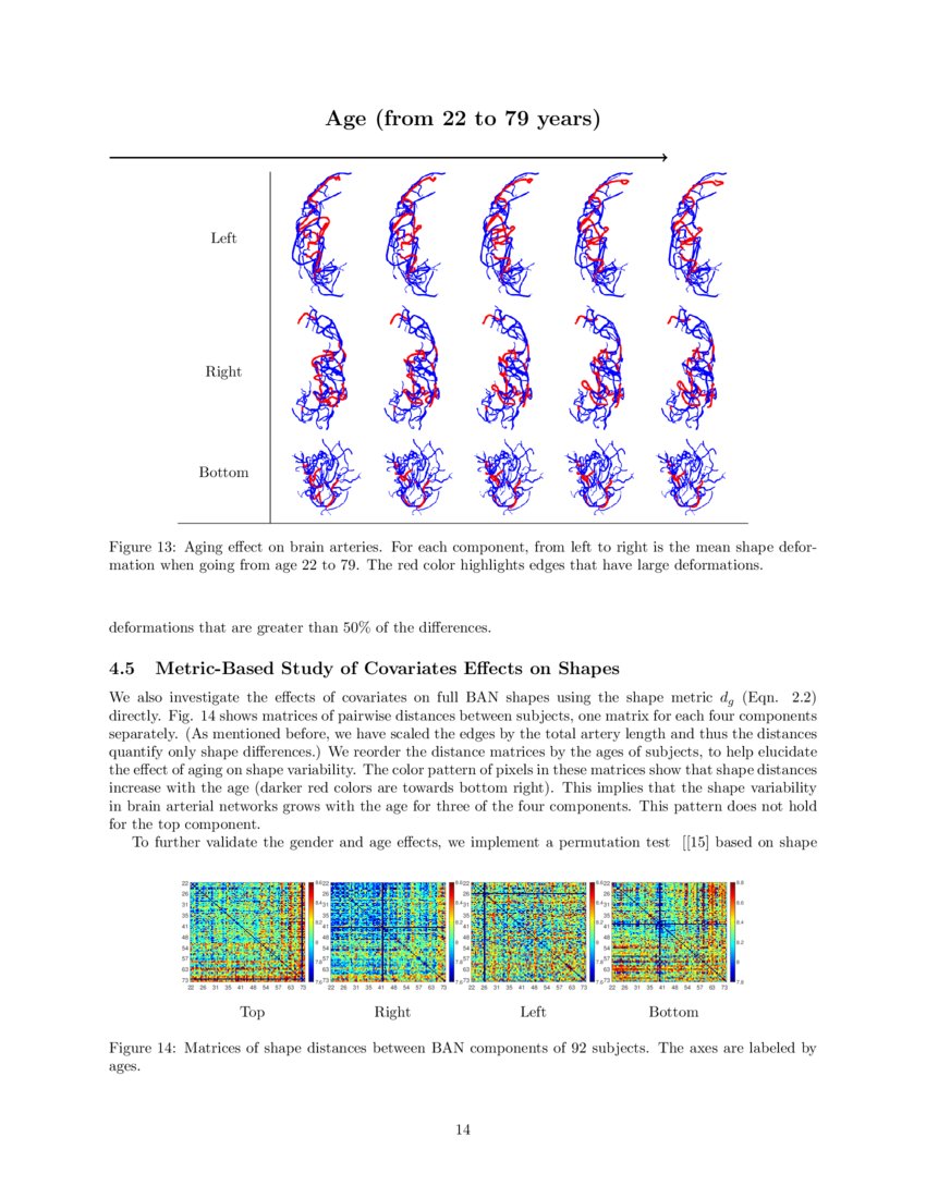 Statistical shape analysis of brain arterial networks (BAN) | DeepAI