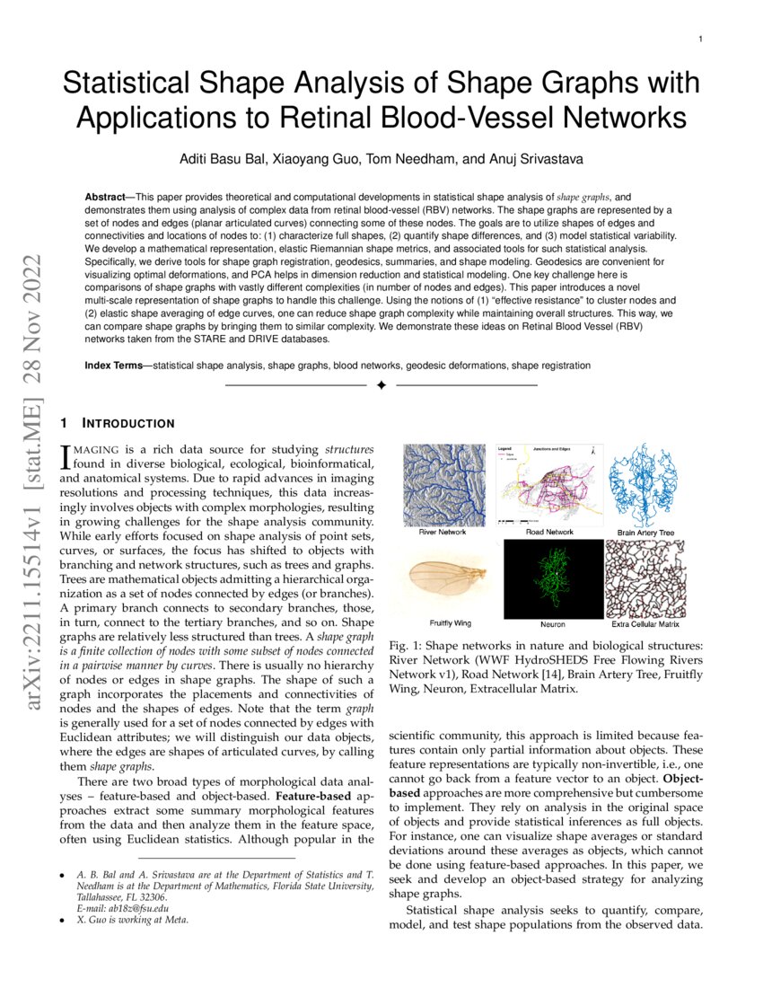 Statistical Shape Analysis Of Shape Graphs With Applications To Retinal
