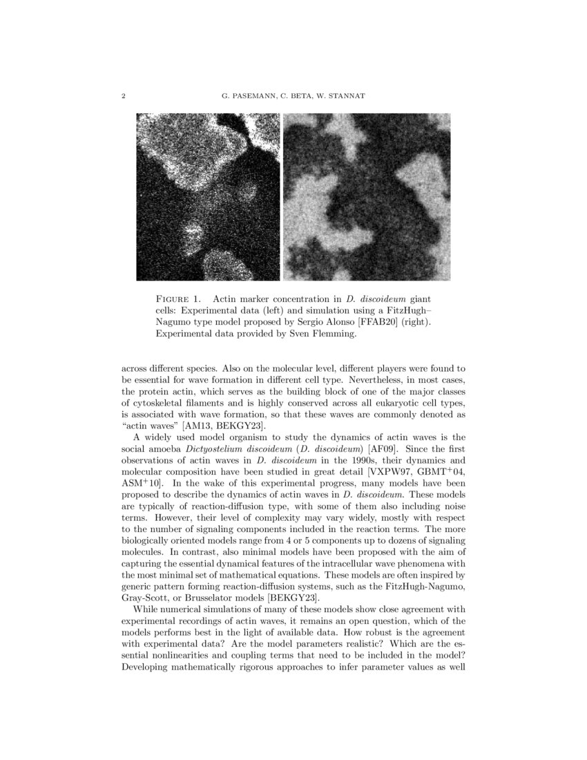 Stochastic Reaction Diffusion Systems In Biophysics Towards A Toolbox