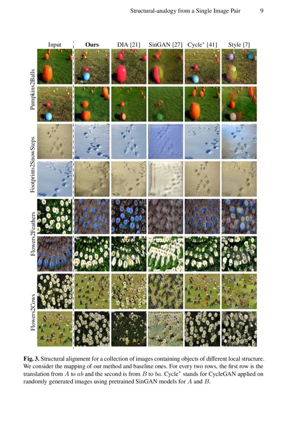Structural-analogy from a Single Image Pair | DeepAI