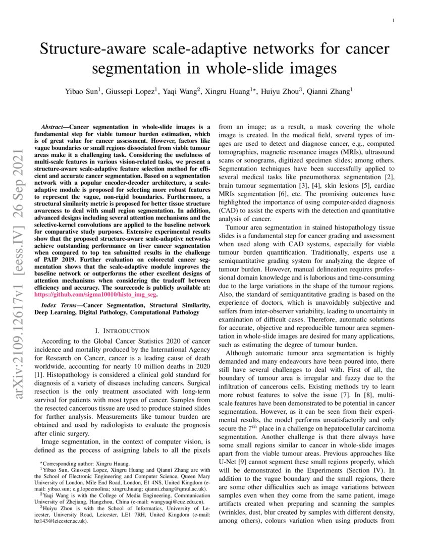 Structure-aware scale-adaptive networks for cancer segmentation in ...