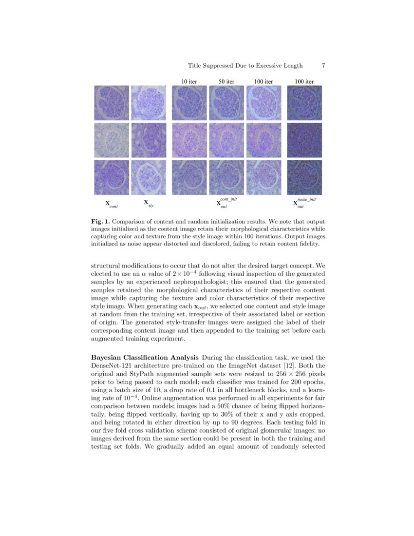 StyPath: Style-Transfer Data Augmentation For Robust Histology Image Classification | DeepAI