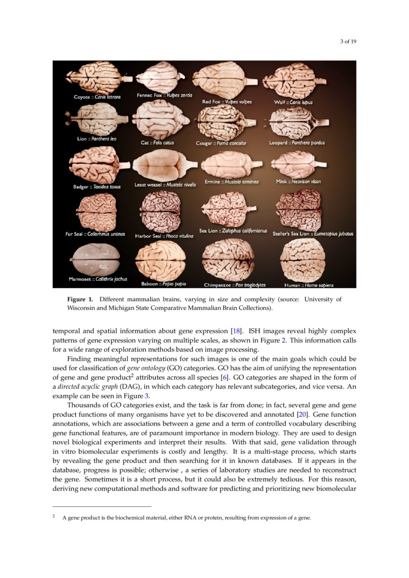 Supervised and Unsupervised End-to-End Deep Learning for Gene Ontology ...