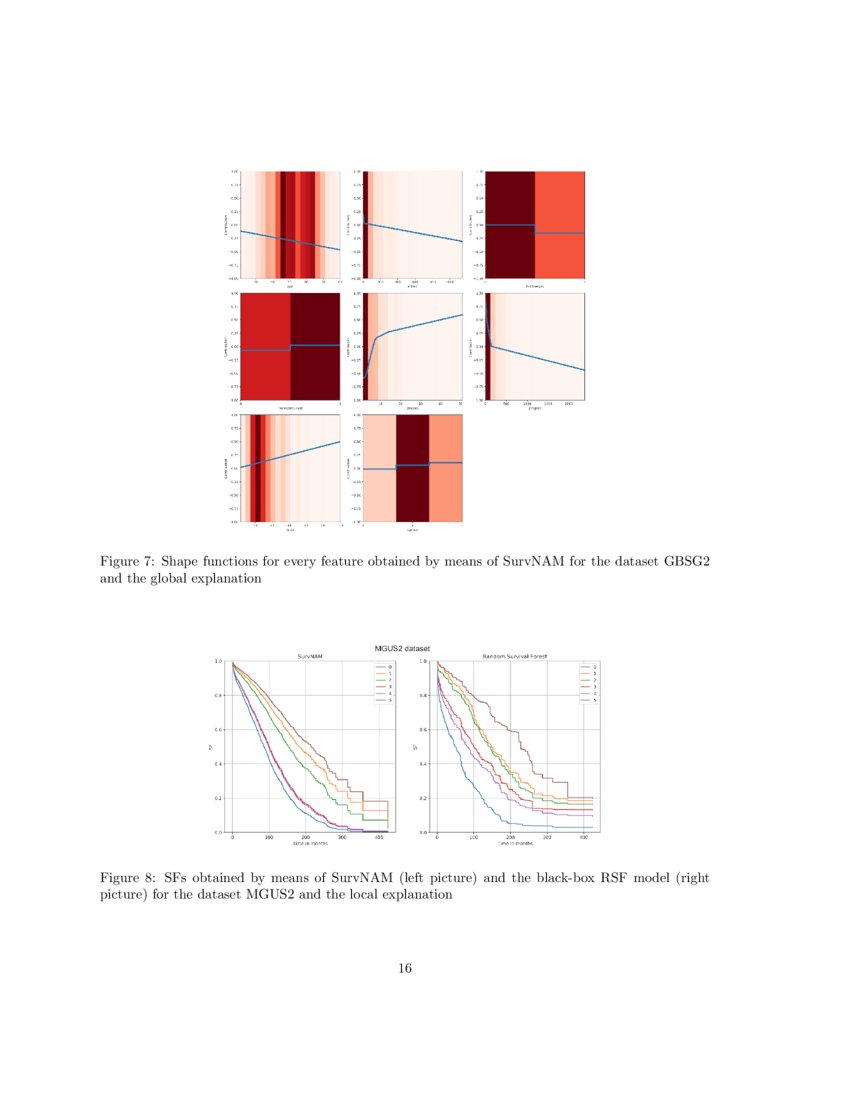 SurvNAM: The machine learning survival model explanation | DeepAI