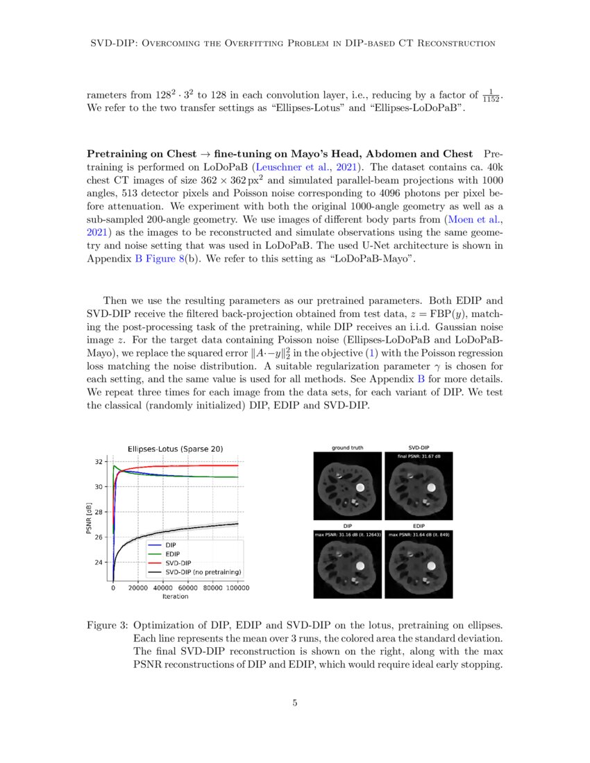 SVD-DIP: Overcoming the Overfitting Problem in DIP-based CT ...