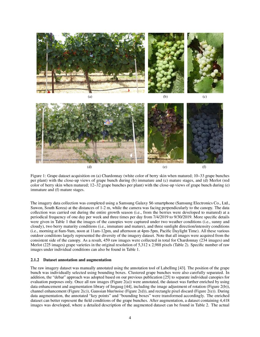 Swin-transformer-yolov5 For Real-time Wine Grape Bunch Detection | DeepAI