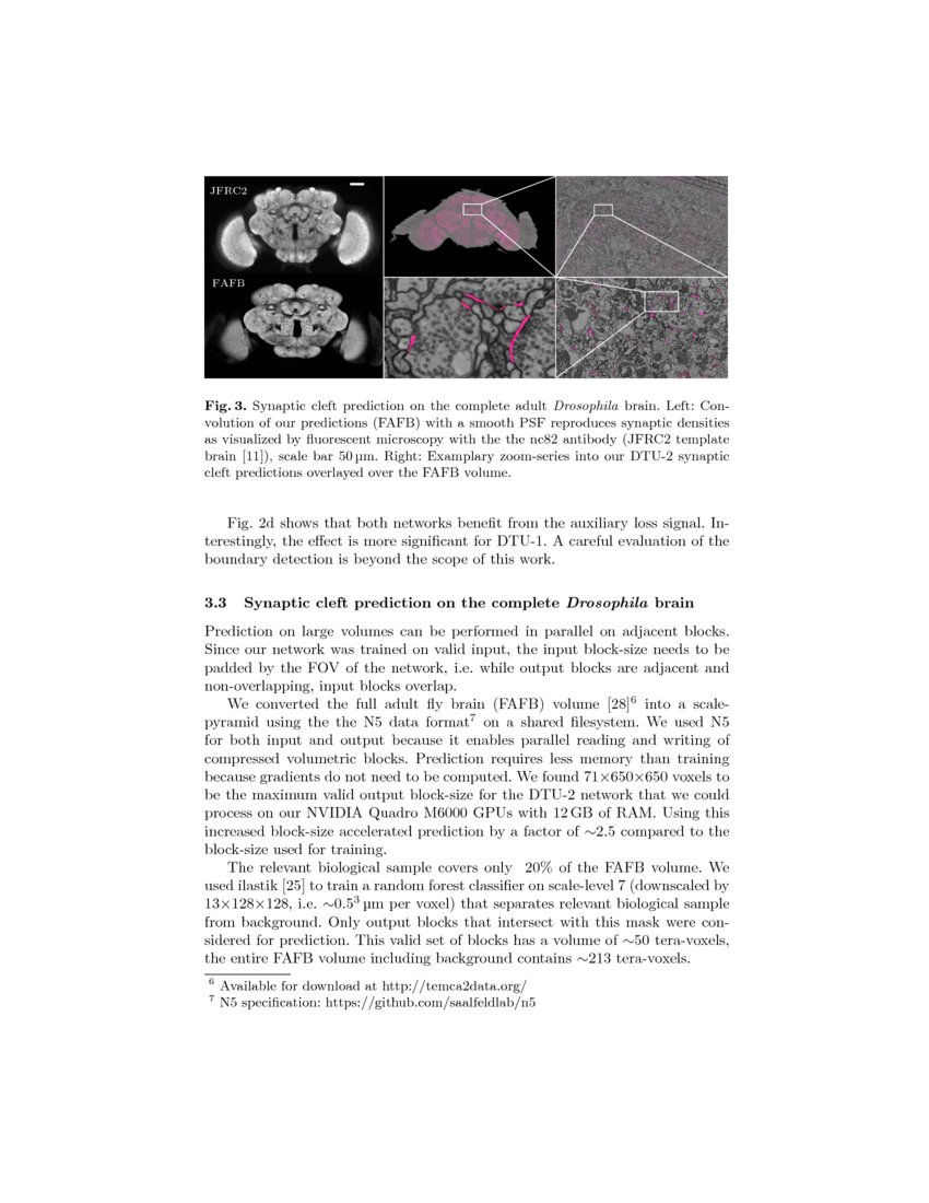 Synaptic Cleft Segmentation in Non-Isotropic Volume Electron Microscopy of the Complete ...