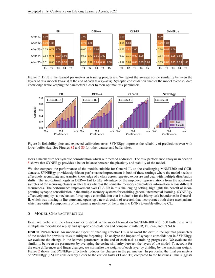SYNERgy between SYNaptic consolidation and Experience Replay for ...