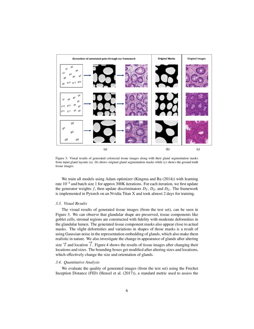 Synthesis of Annotated Colorectal Cancer Tissue Images from Gland ...