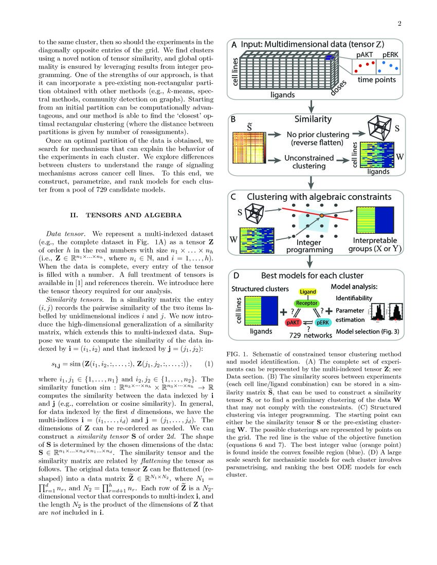 Tensor clustering with algebraic constraints gives interpretable groups of crosstalk mechanisms ...