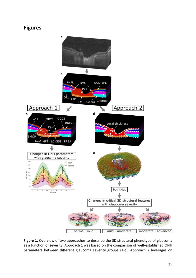 The 3D Structural Phenotype of the Glaucomatous Optic Nerve Head and ...