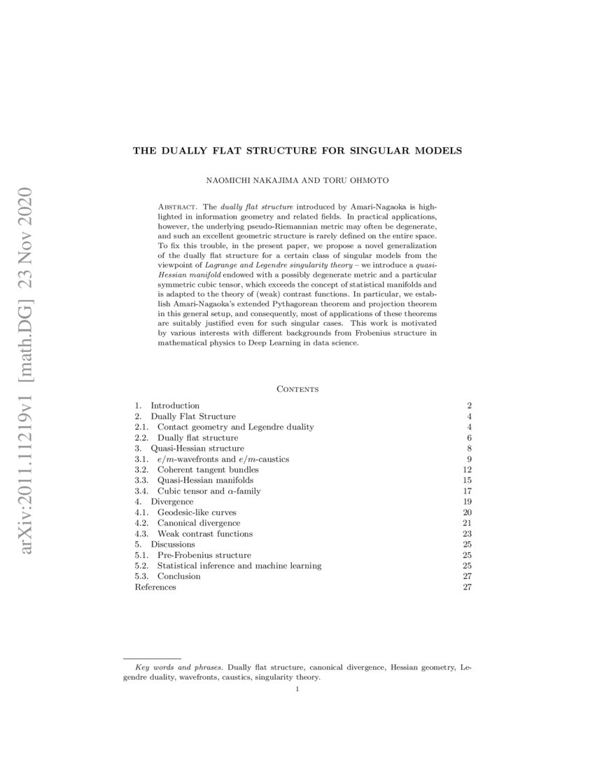 The dually flat structure for singular models | DeepAI