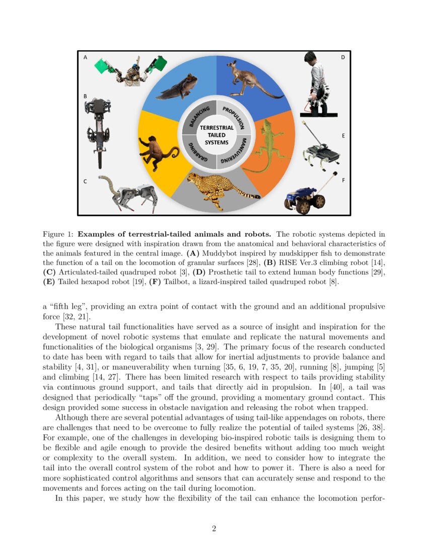 The Effect of Tail Stiffness on a Sprawling Quadruped Locomotion | DeepAI