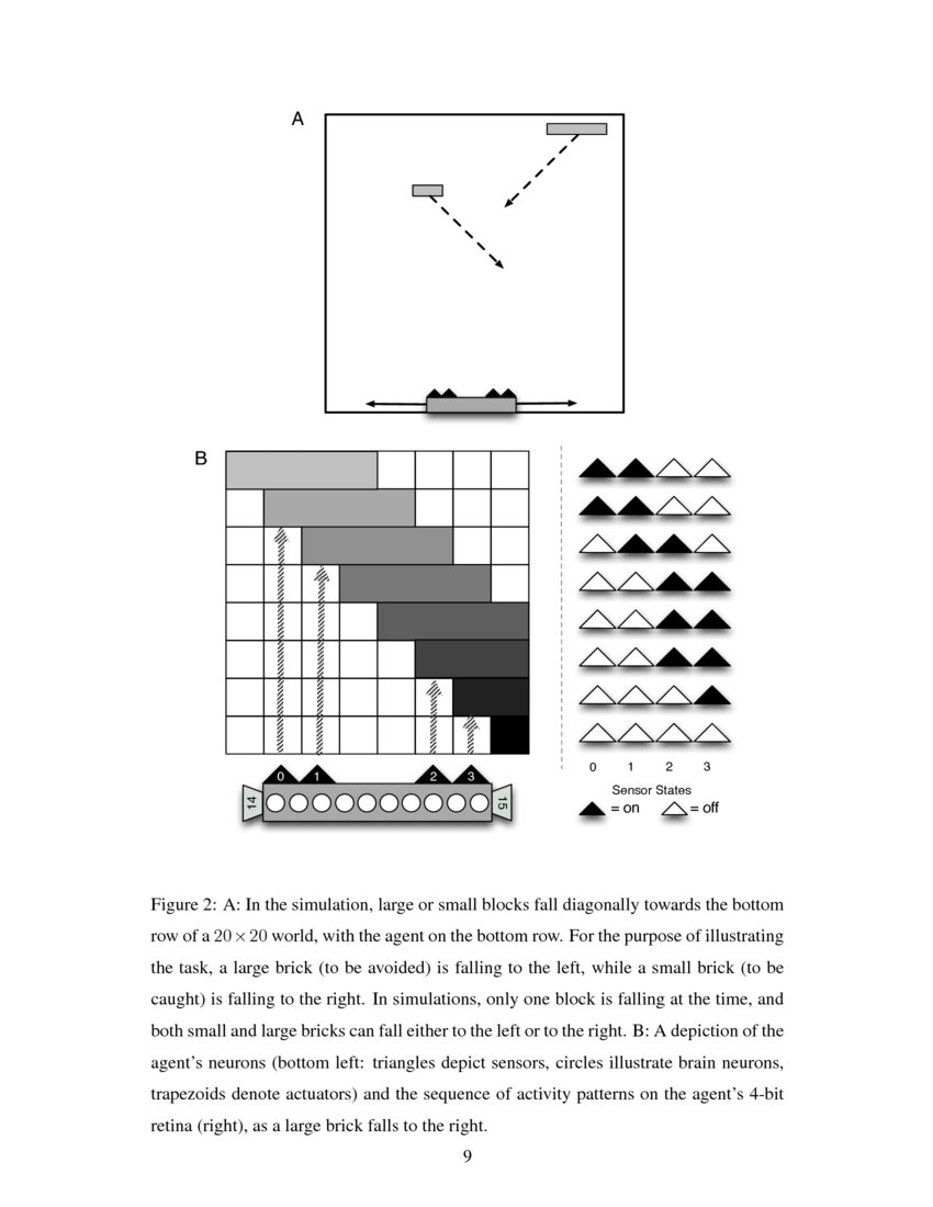 The evolution of representation in simple cognitive networks | DeepAI