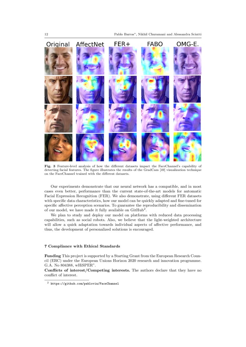 The FaceChannel: A Fast Furious Deep Neural Network for Facial ...
