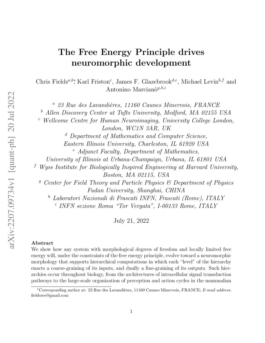 The Free Energy Principle drives neuromorphic development | DeepAI