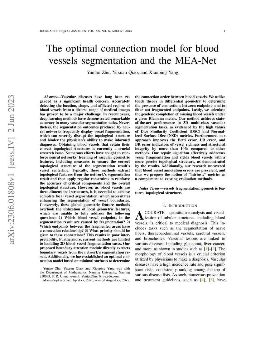 The optimal connection model for blood vessels segmentation and the MEA ...