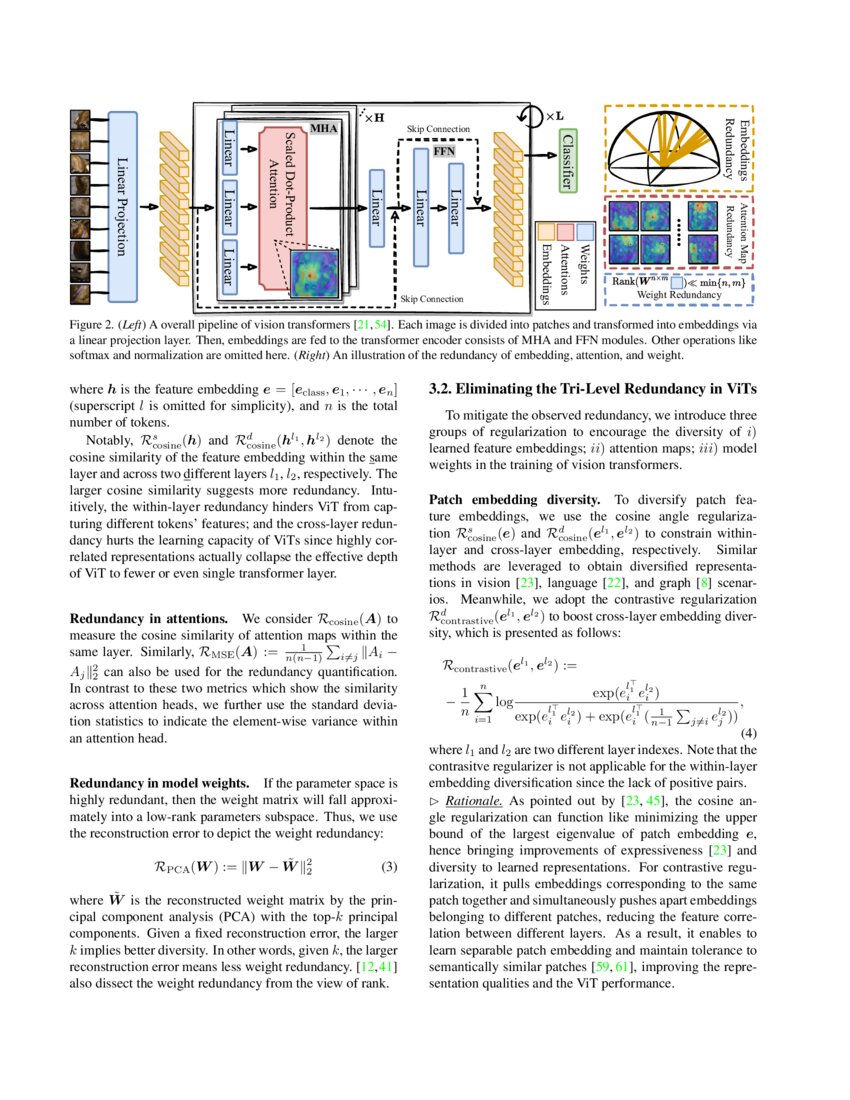 The Principle of Diversity: Training Stronger Vision Transformers Calls ...