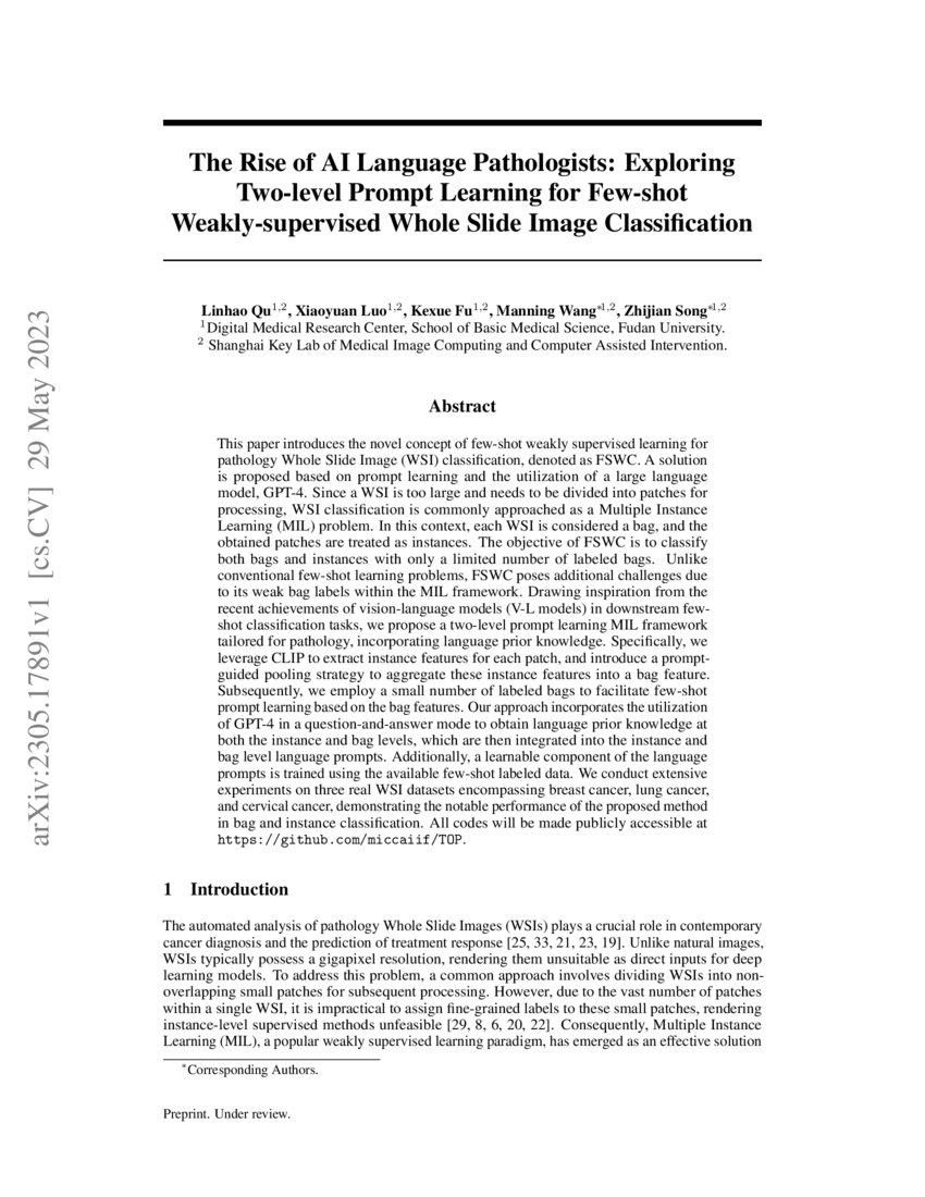 The Rise of AI Language Pathologists: Exploring Two-level Prompt Learning for Few-shot Weakly ...