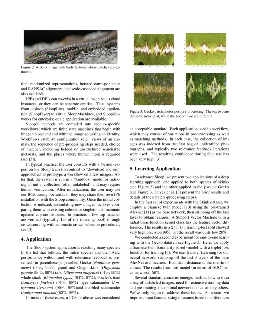 The Sloop System for Individual Animal Identification with Deep ...