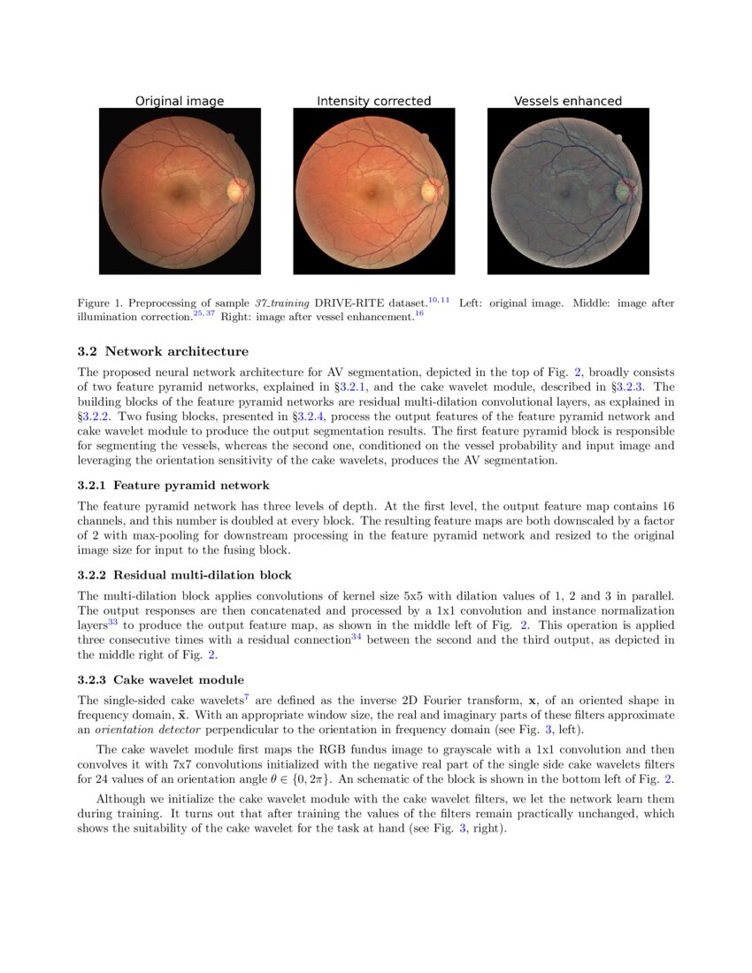 The Topology-Overlap Trade-Off in Retinal Arteriole-Venule Segmentation ...