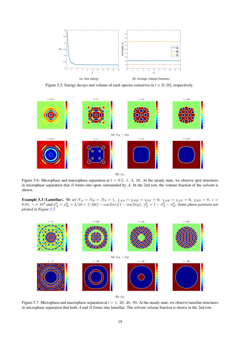 Thermodynamically Consistent Algorithms For Models Of Diblock Copolymer Solutions Interacting